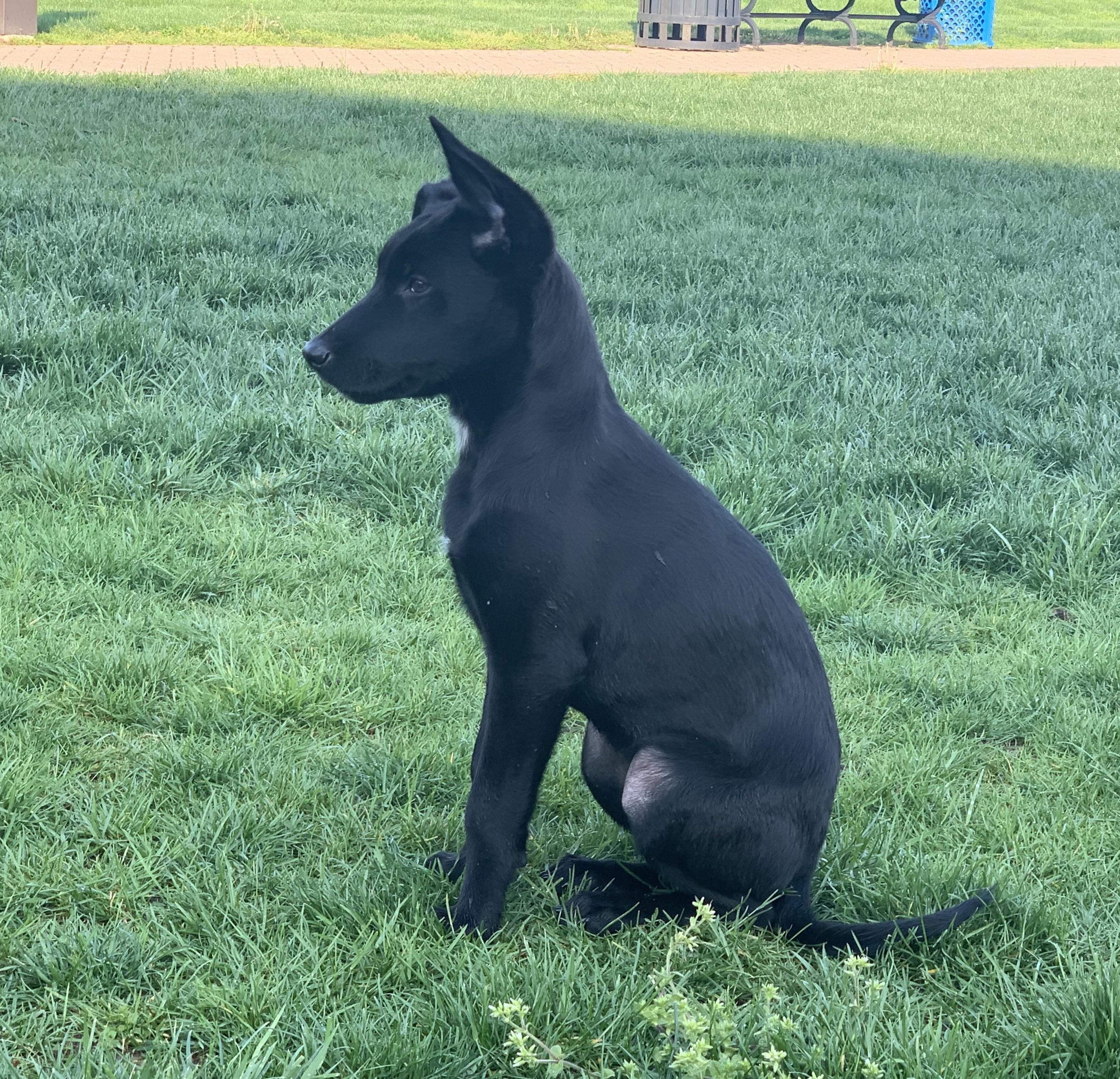 So regal and focused for a young guy | Scrolller