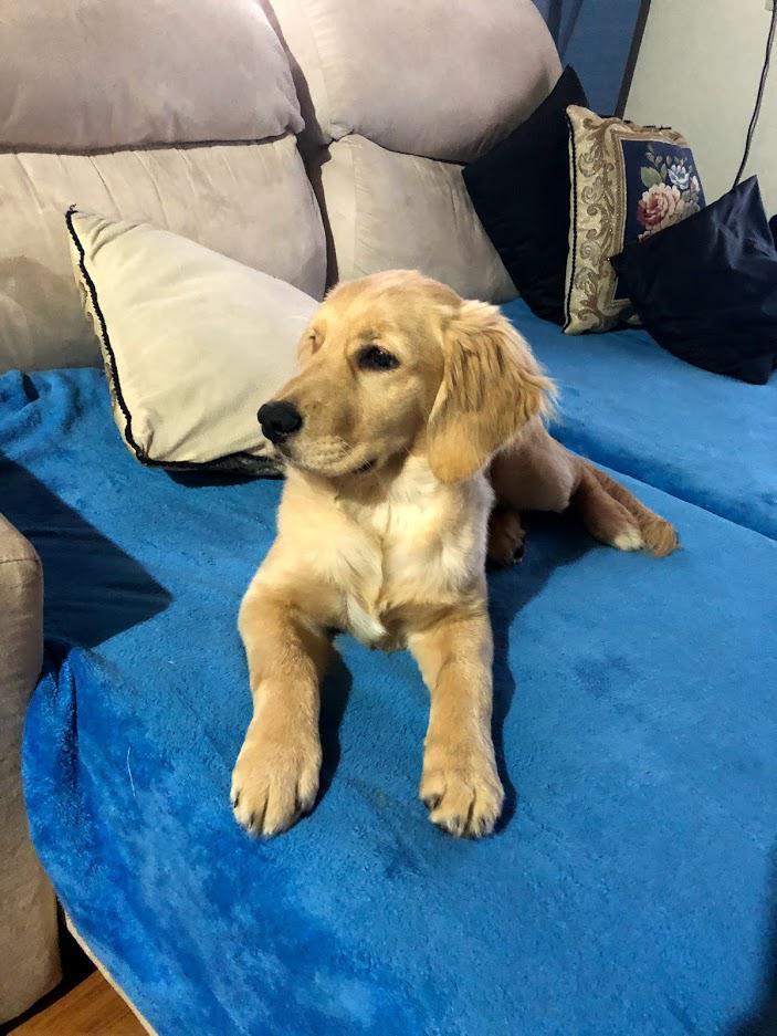 So, we got a new couch... | Scrolller