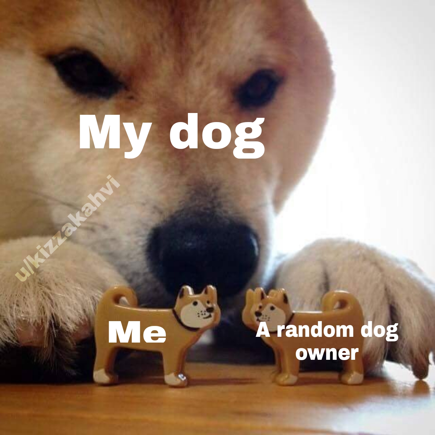 *social anxiety intensifies* | Scrolller