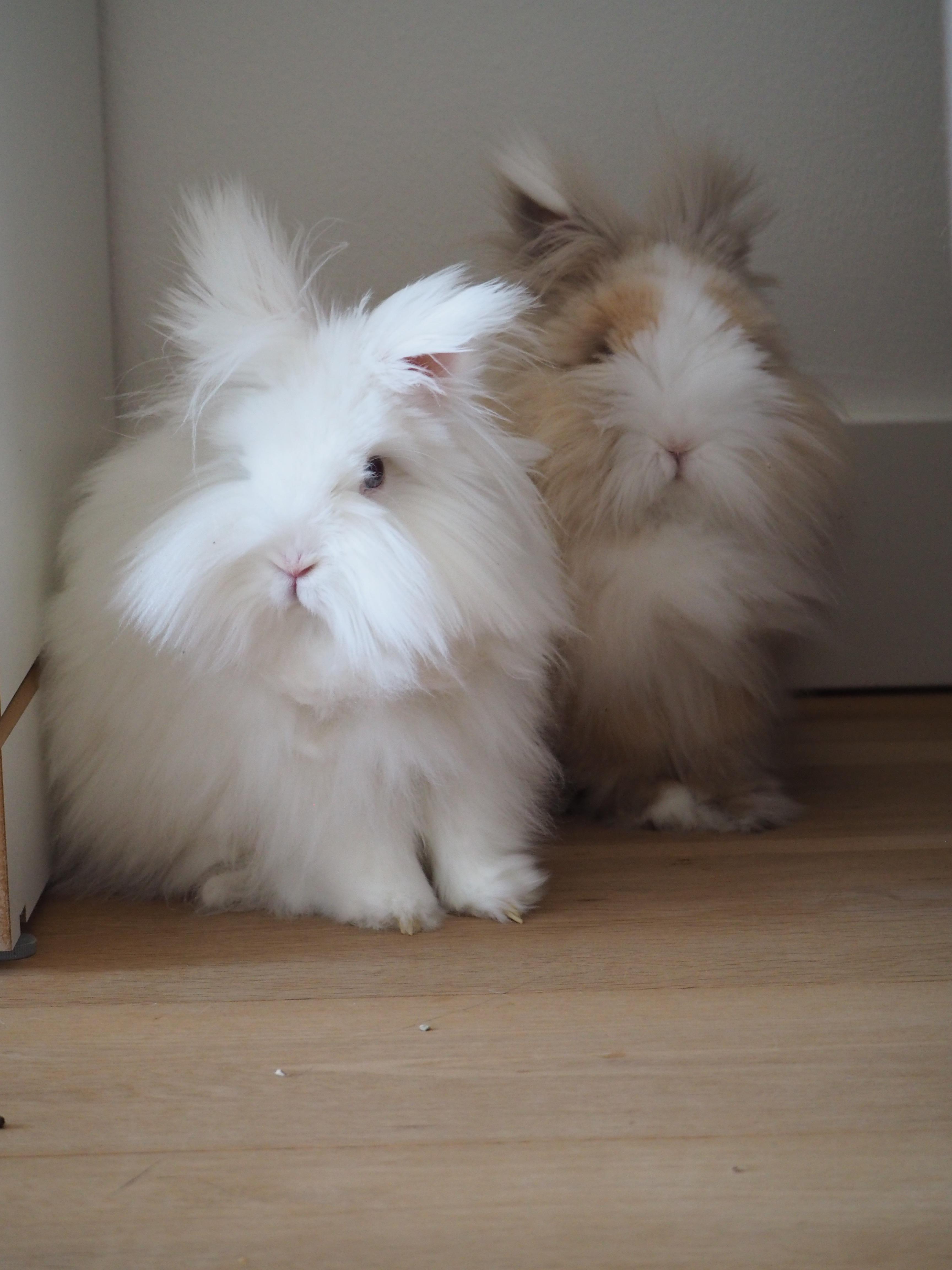 Social distancing fail | Scrolller