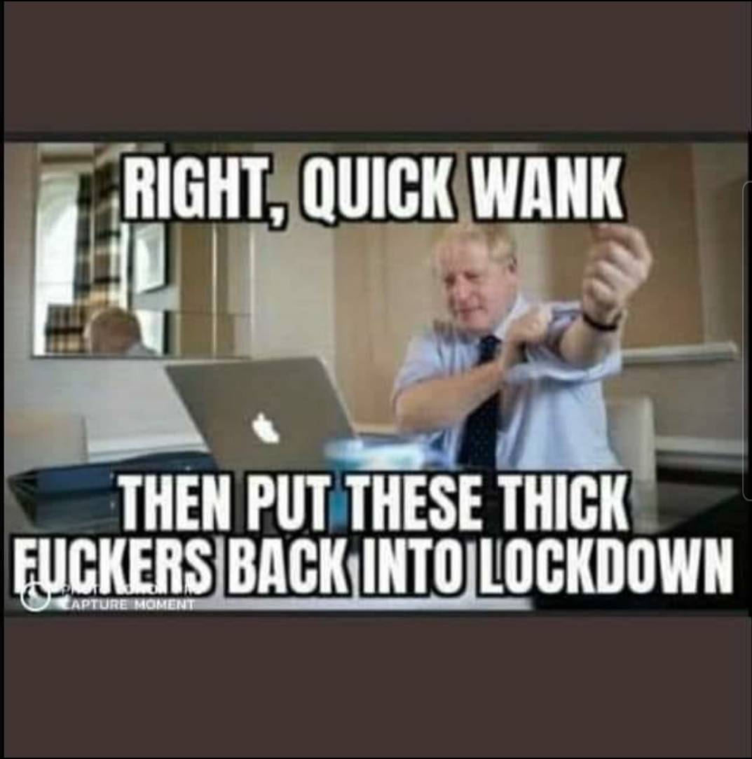 Solid Plan | Scrolller