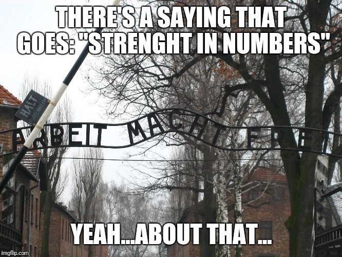 Solving overpopulation step by step | Scrolller