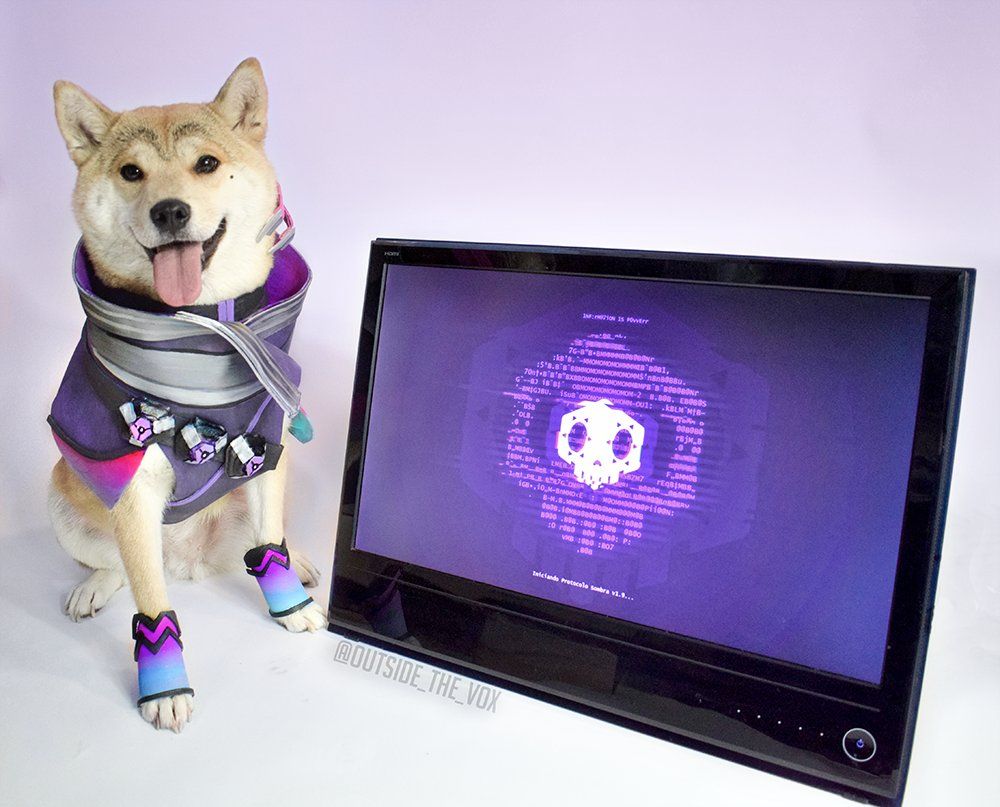 Sombra doge | Scrolller