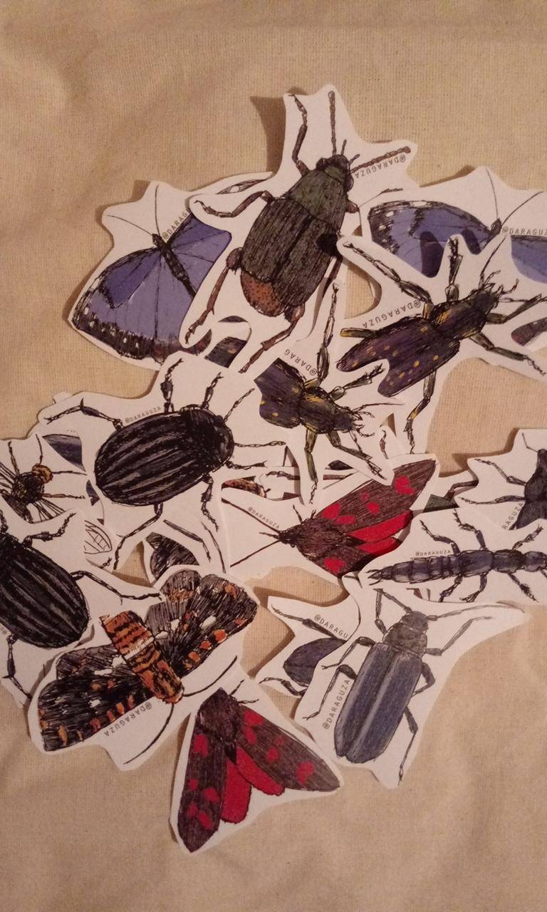 Some insects and bugs | Scrolller