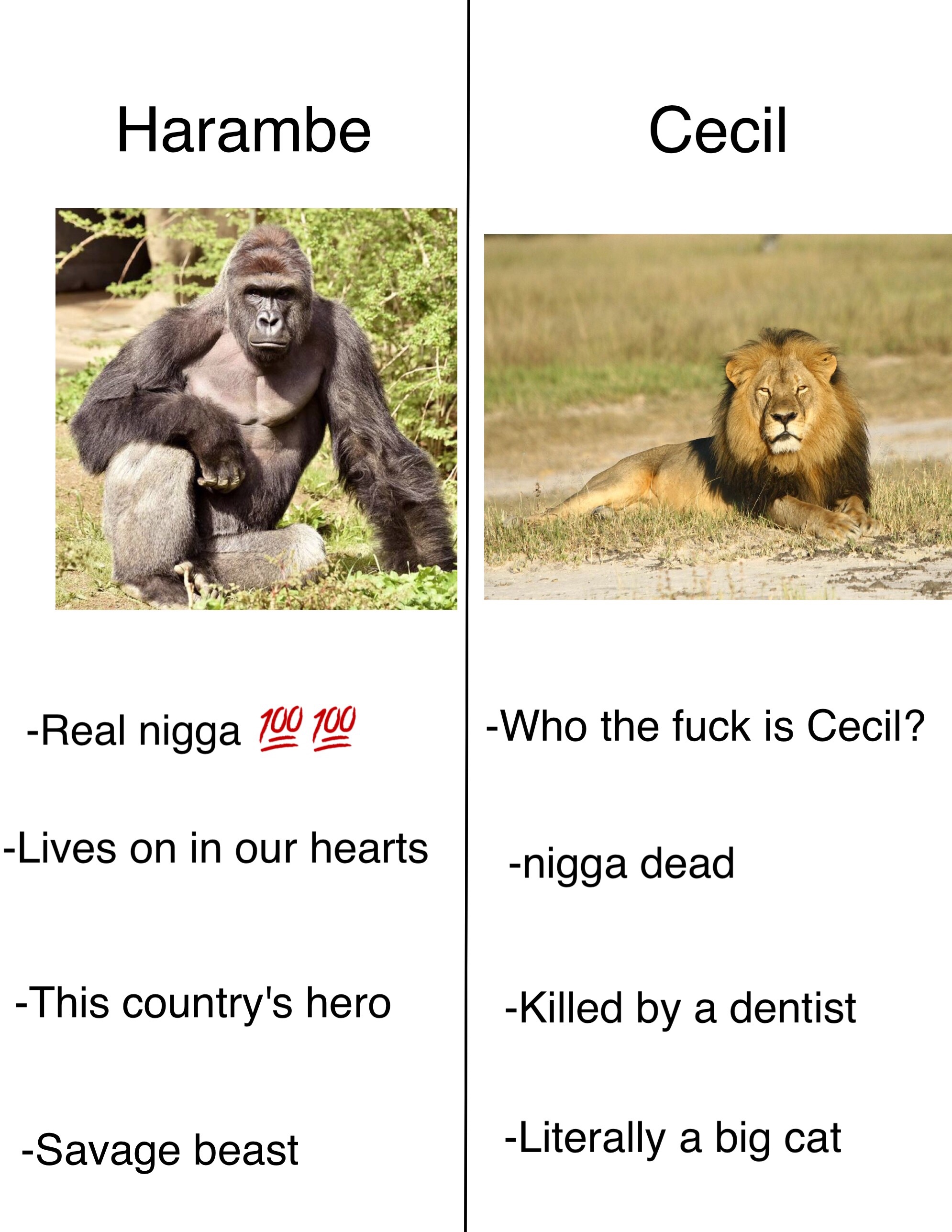 Some one was ranting on how Cecil the lion was more important than Harambe | Scrolller