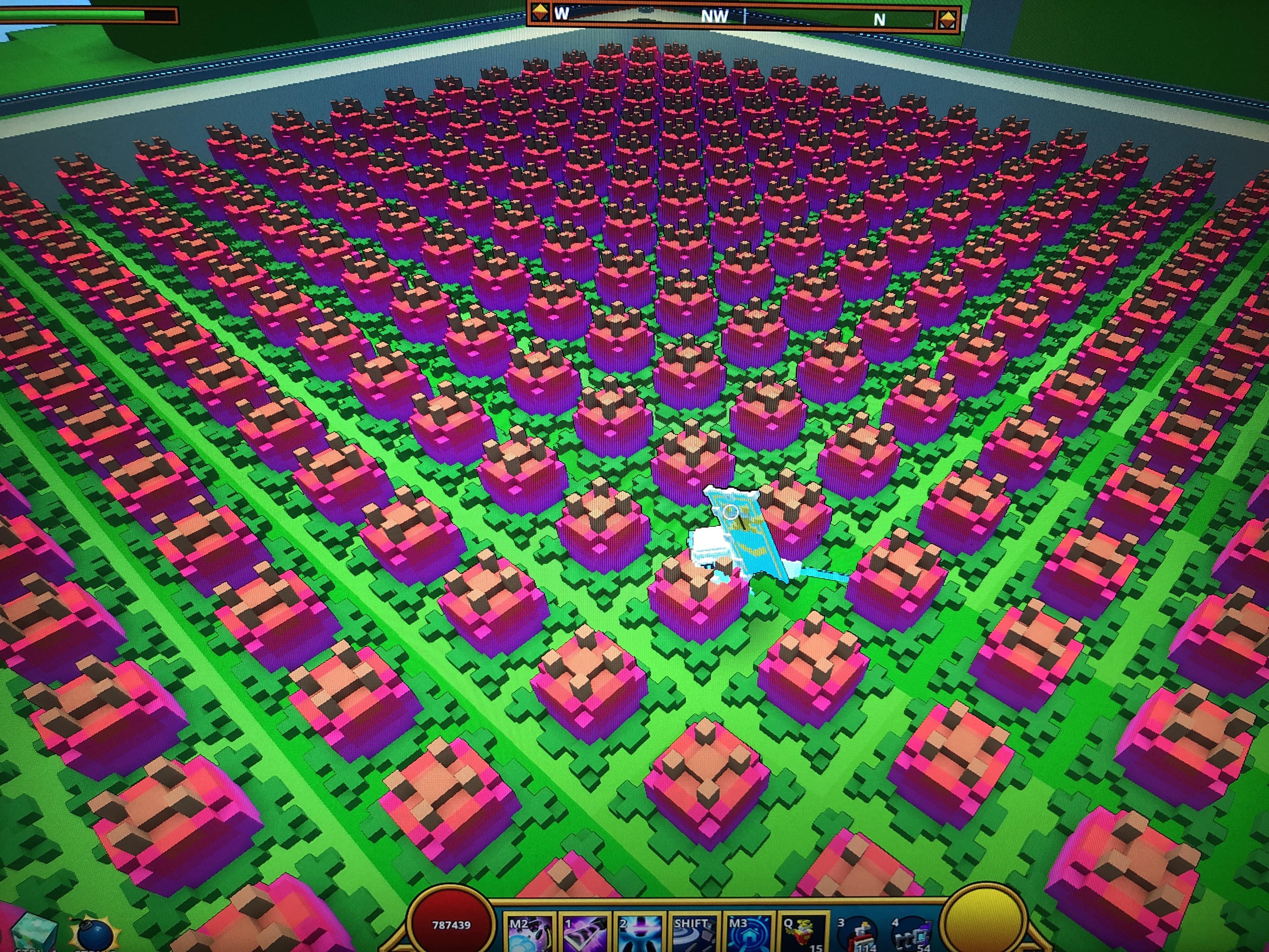 Some steed feed eye candy | Scrolller