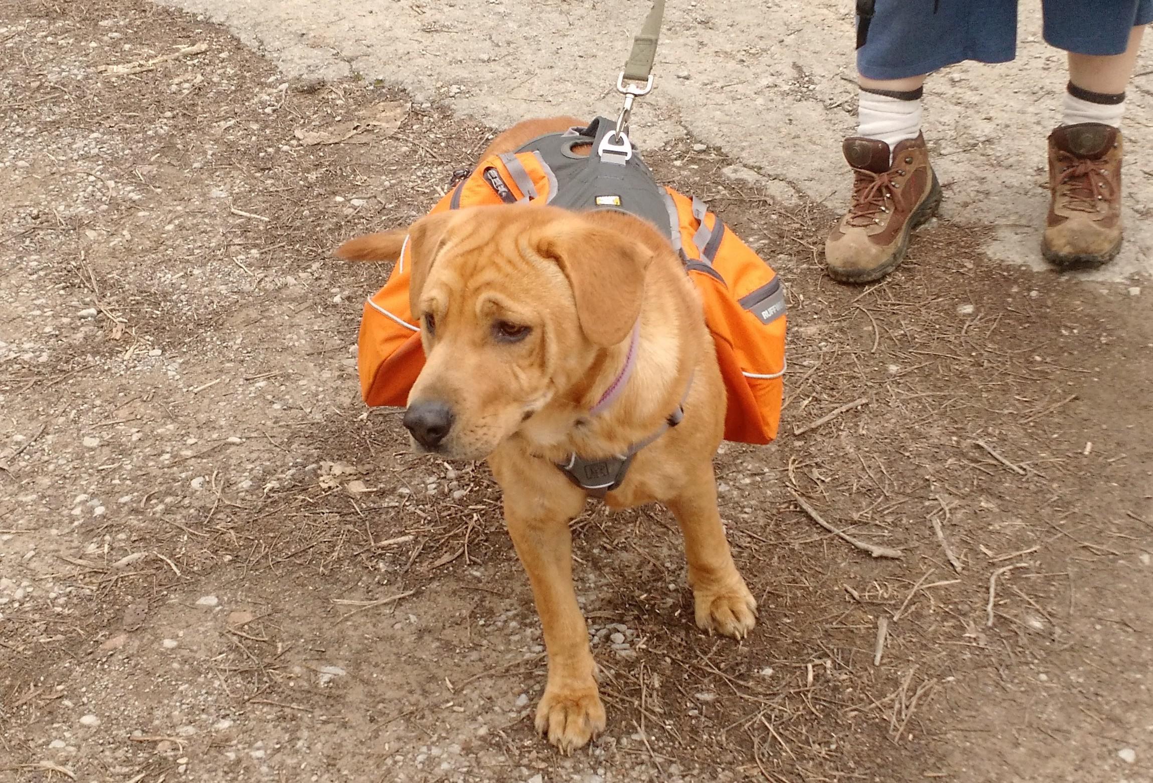 Some sweet guy ready to camp | Scrolller