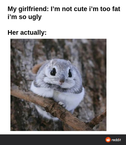 Some wholesome content | Scrolller