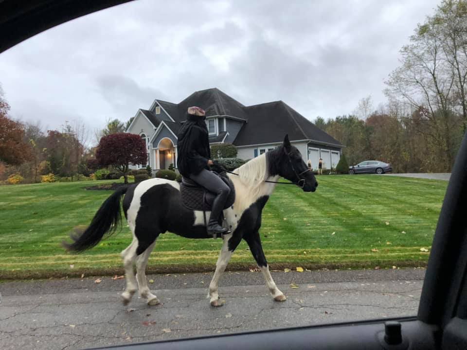 Someone’s riding through town as the headless horseman | Scrolller