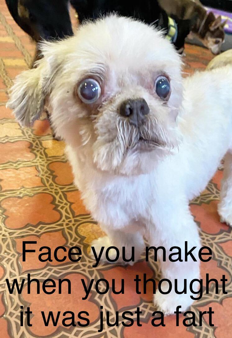 Something doesn’t feel right... | Scrolller