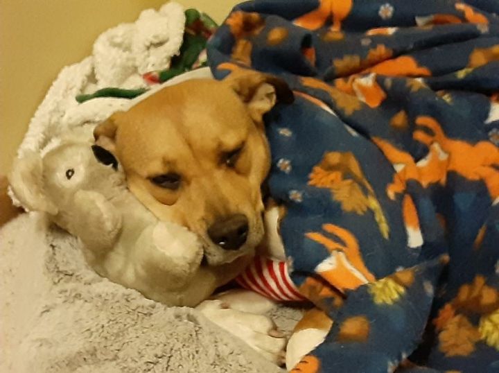 Sophie loves her bear | Scrolller