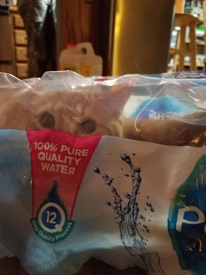 Sora peeking at me from water package | Scrolller