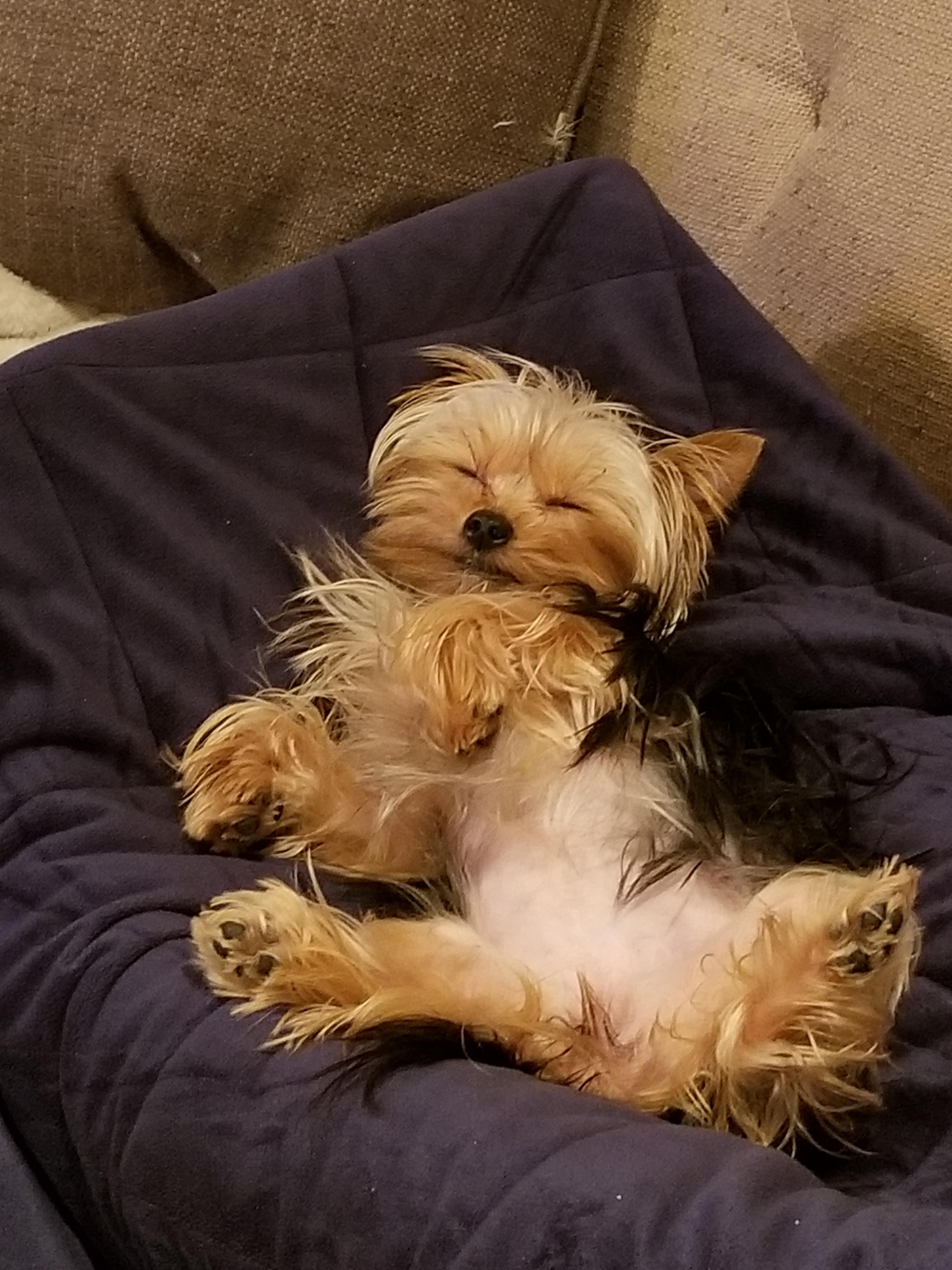 Sound Asleep Scrolller