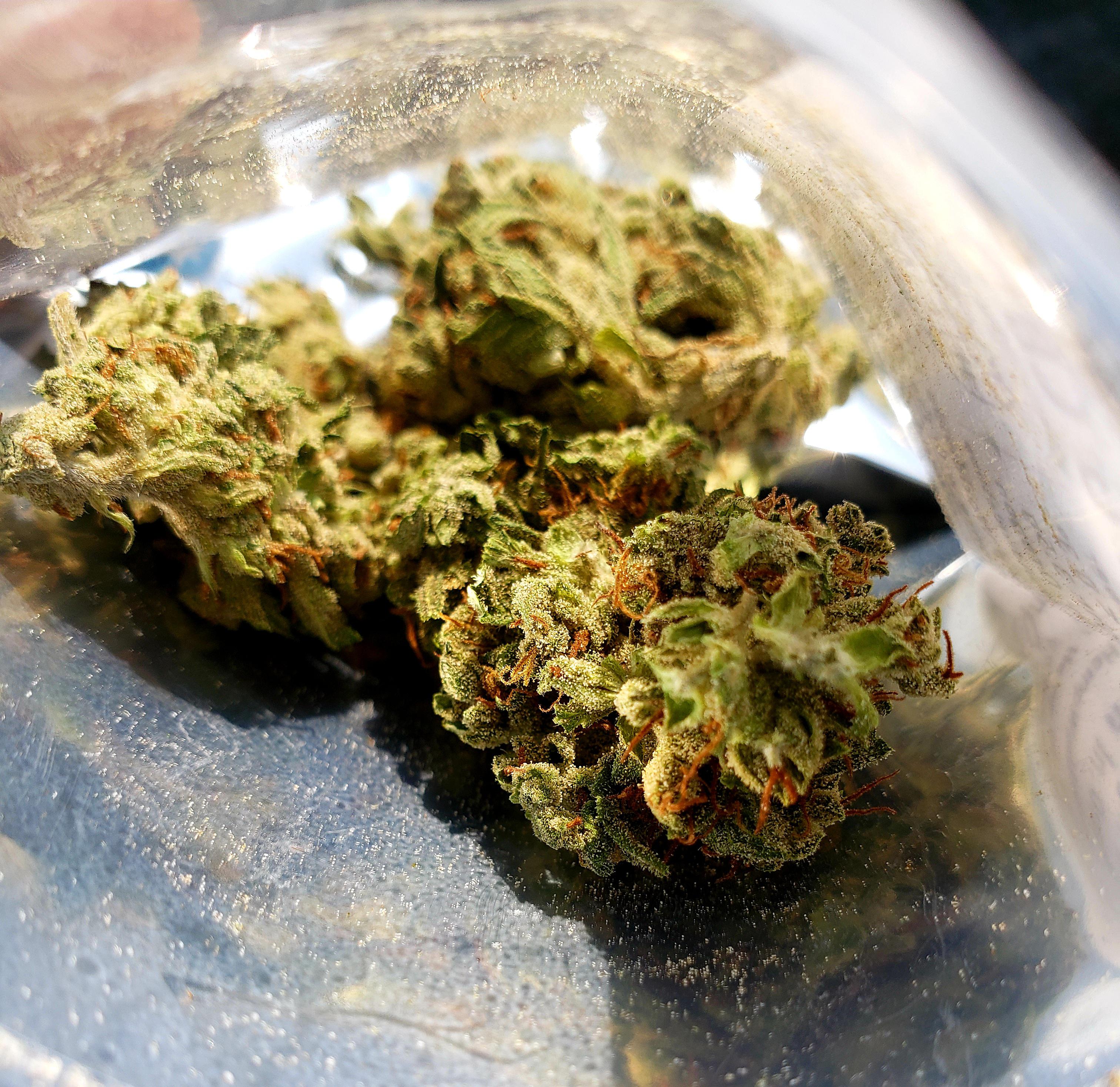 Sour G CBG from Hempworldwide | Scrolller