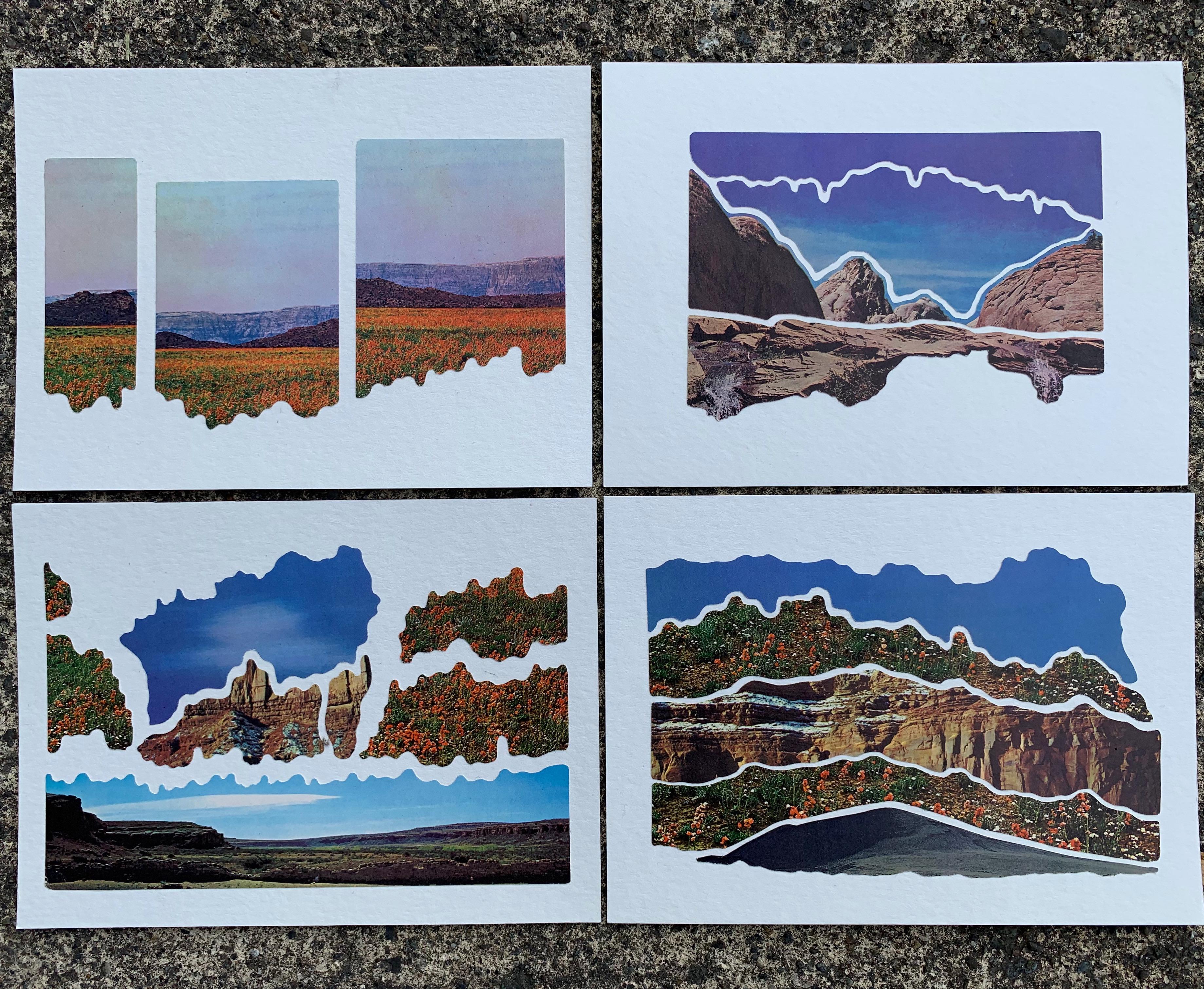 southwest studies [analog] | Scrolller