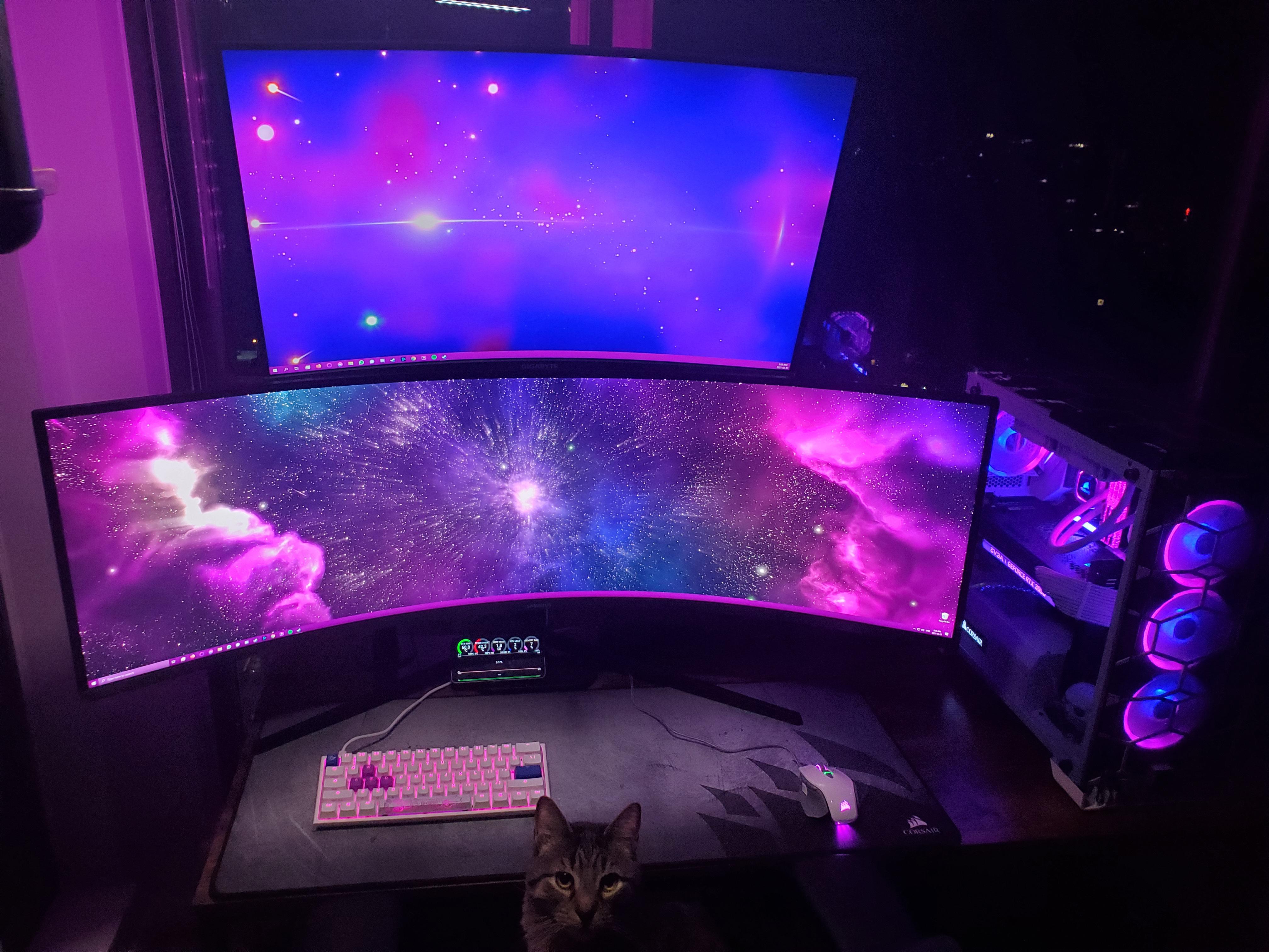 Space Cat | Scrolller