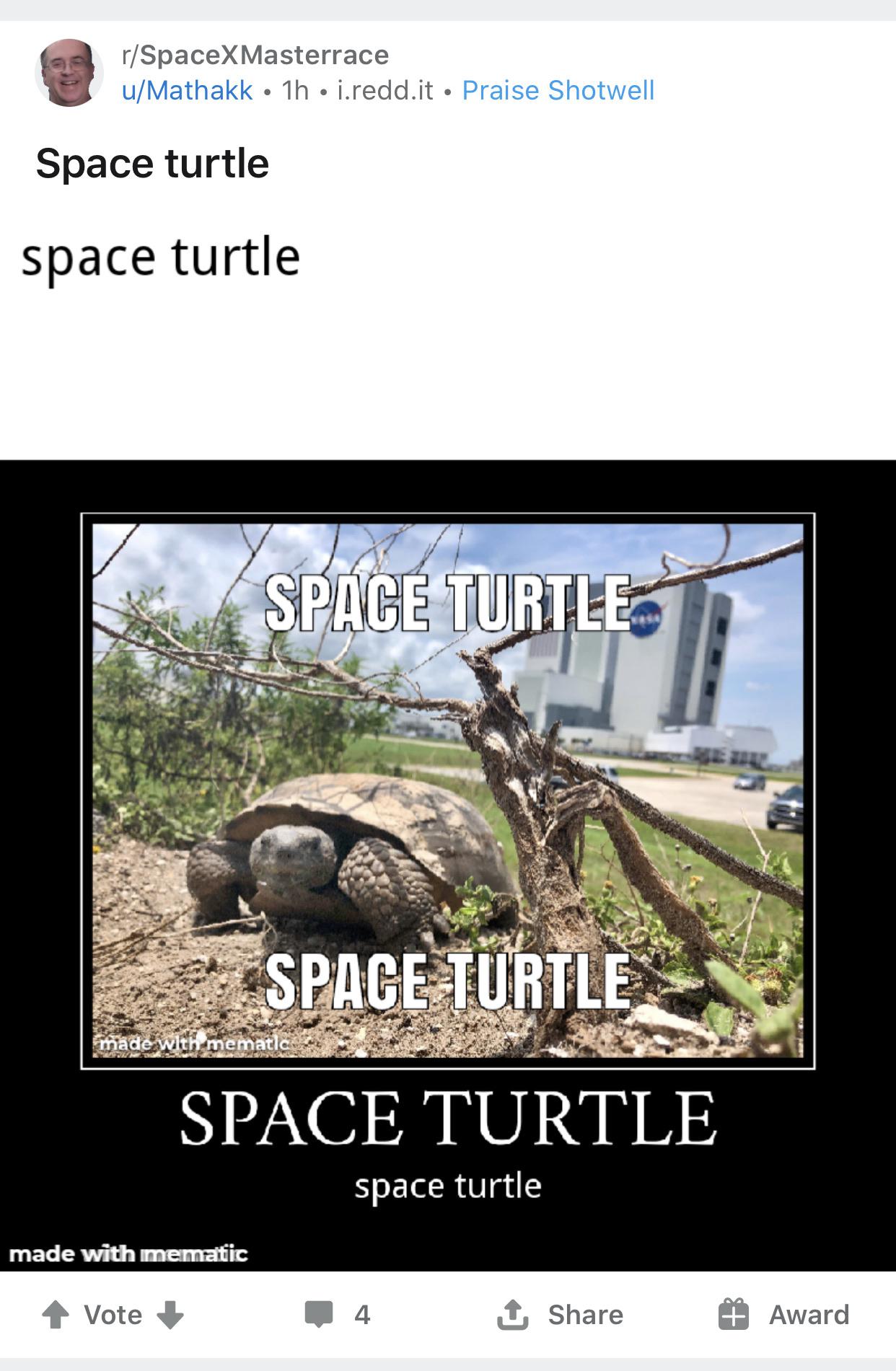 Space Turtle | Scrolller