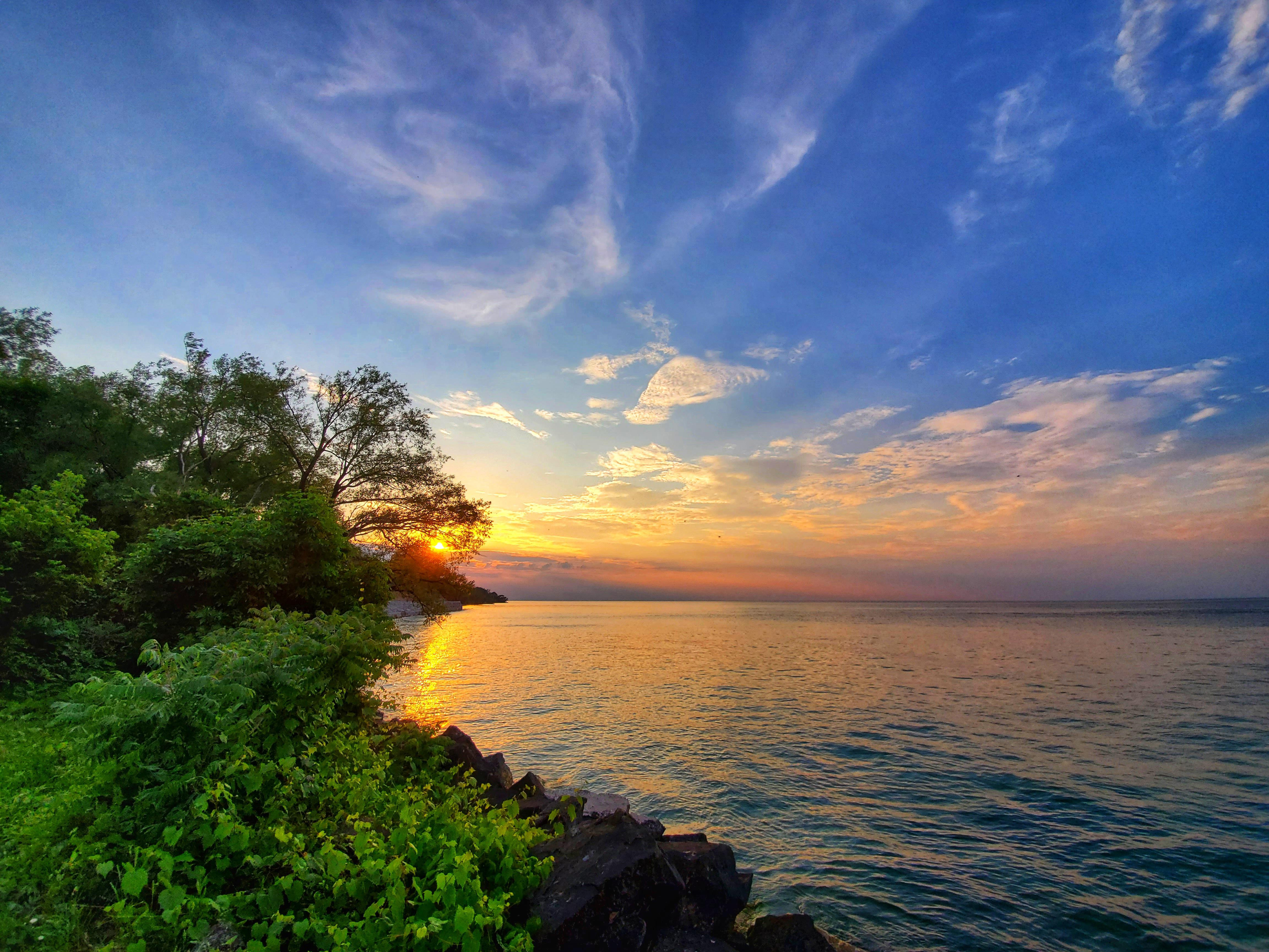 Speechless | Scrolller