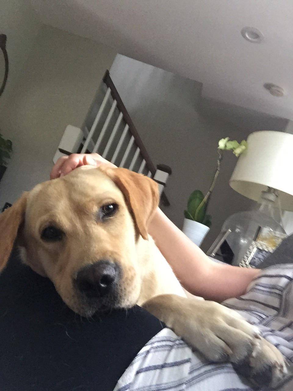 Spending the day with this handsome boy | Scrolller