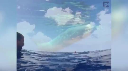 Sperm whale mocking a tiny floating primate | Scrolller