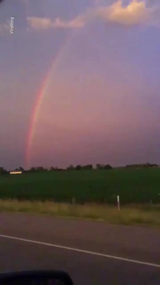 Spider lightning and a rainbow | Scrolller