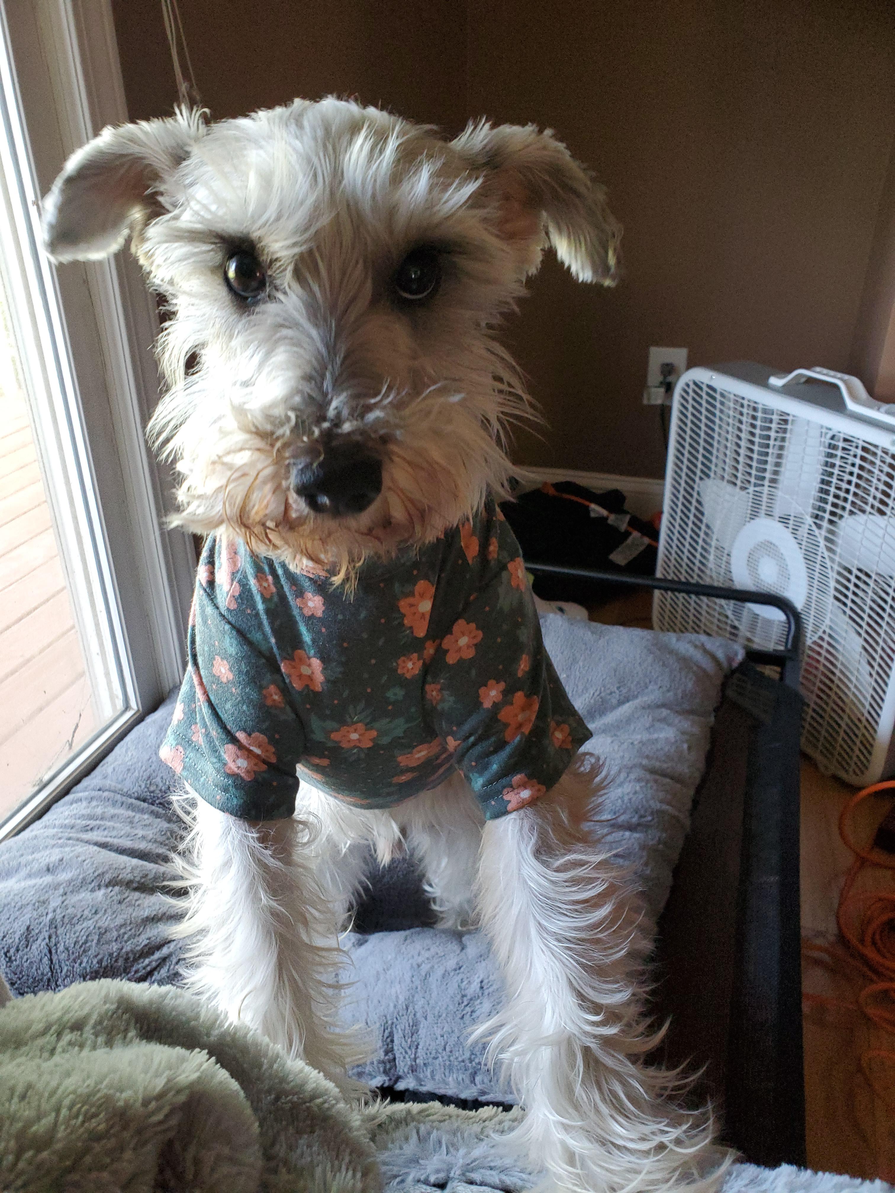 Spiffy Aldi outfit! | Scrolller