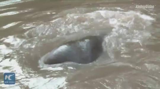 Splish Splash Splish Splash 🛀💦 | Scrolller