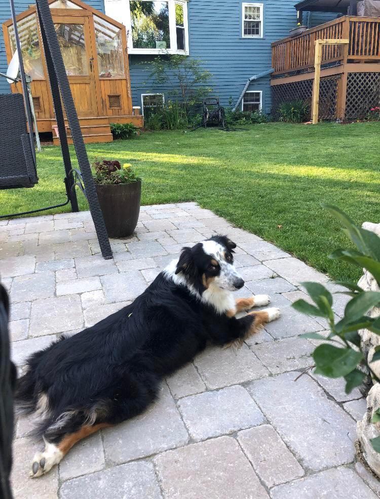 Splooting in the sun | Scrolller