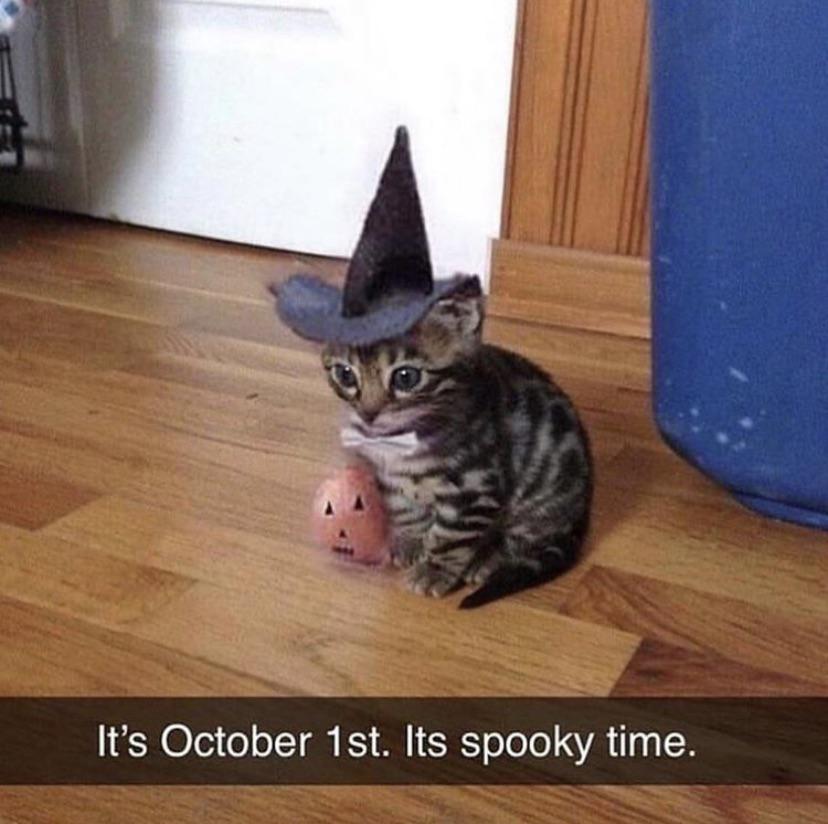 Spooky szn | Scrolller