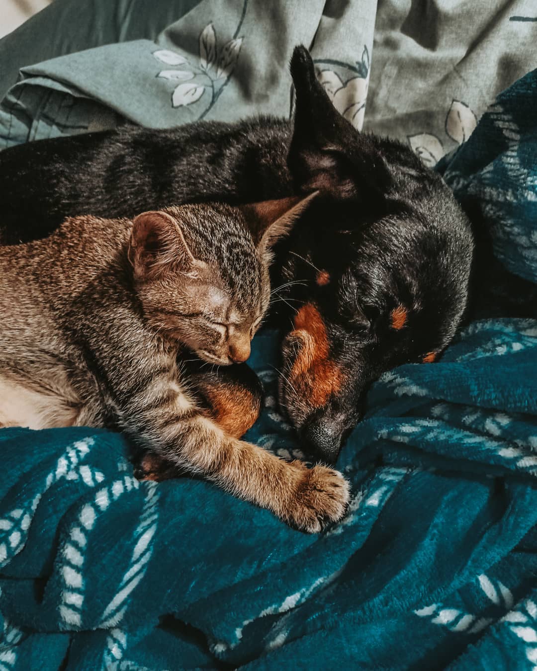 Spooning! | Scrolller