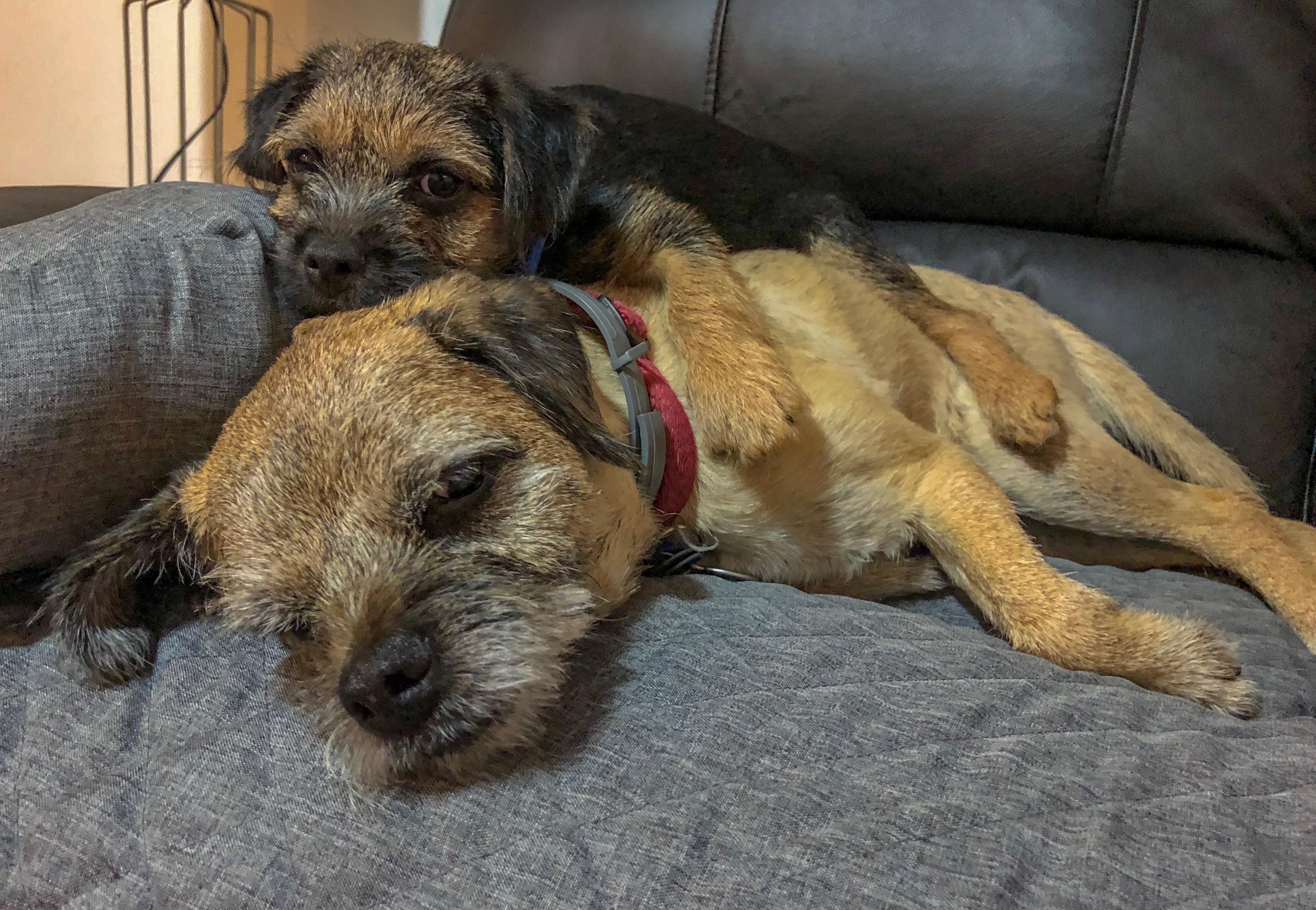 Spooning Borders | Scrolller