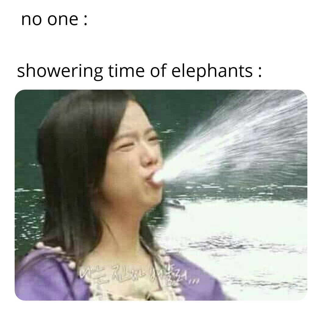 Sprayyyy | Scrolller