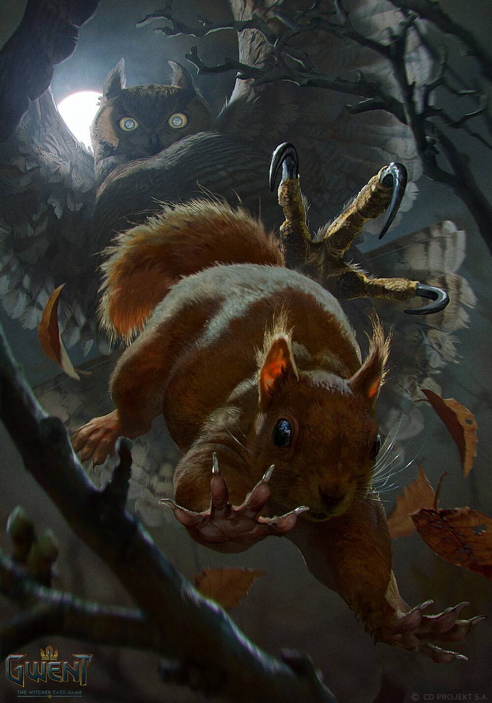 Squirrel by Anna Podedworna | Scrolller