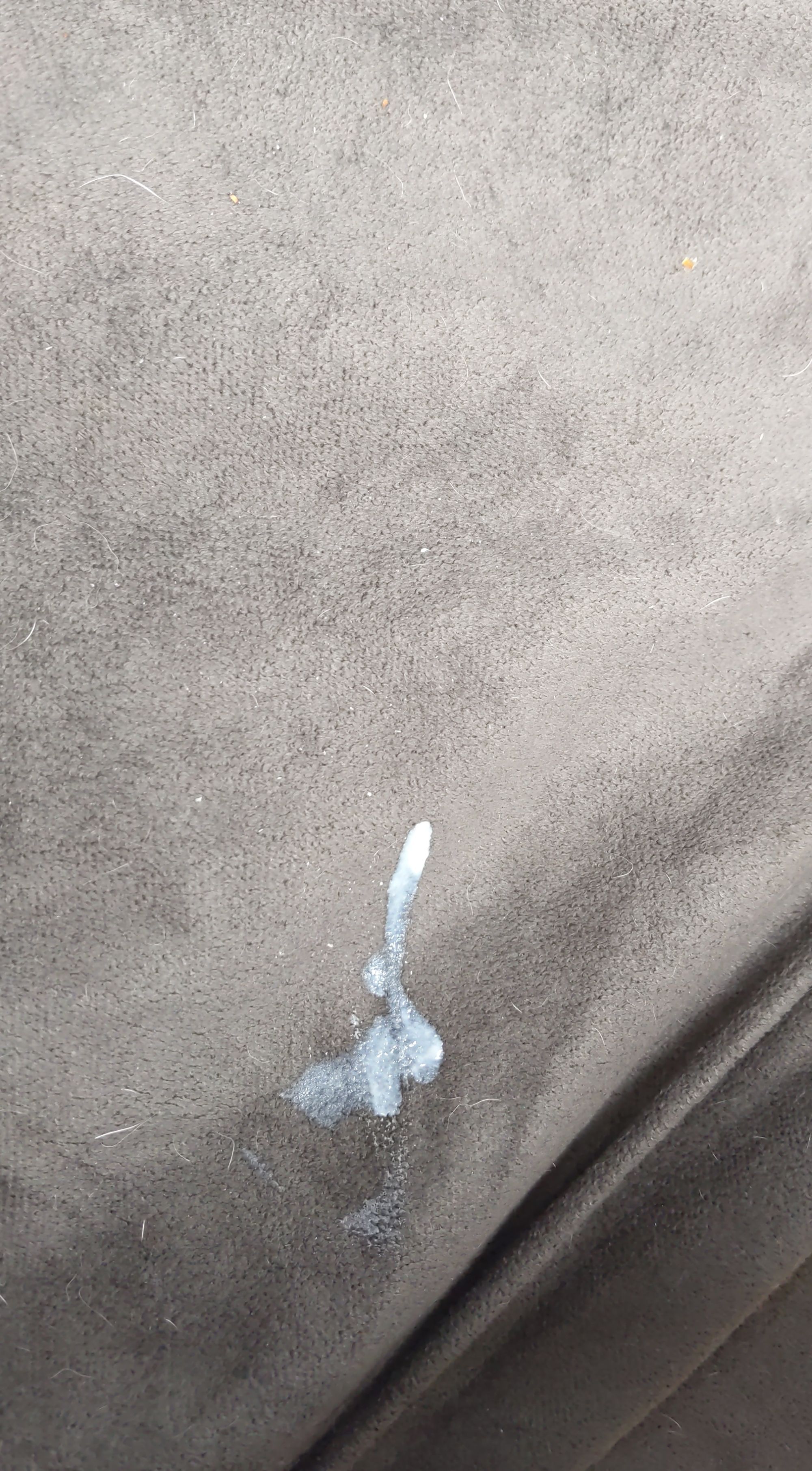 Stained my blanket.. | Scrolller