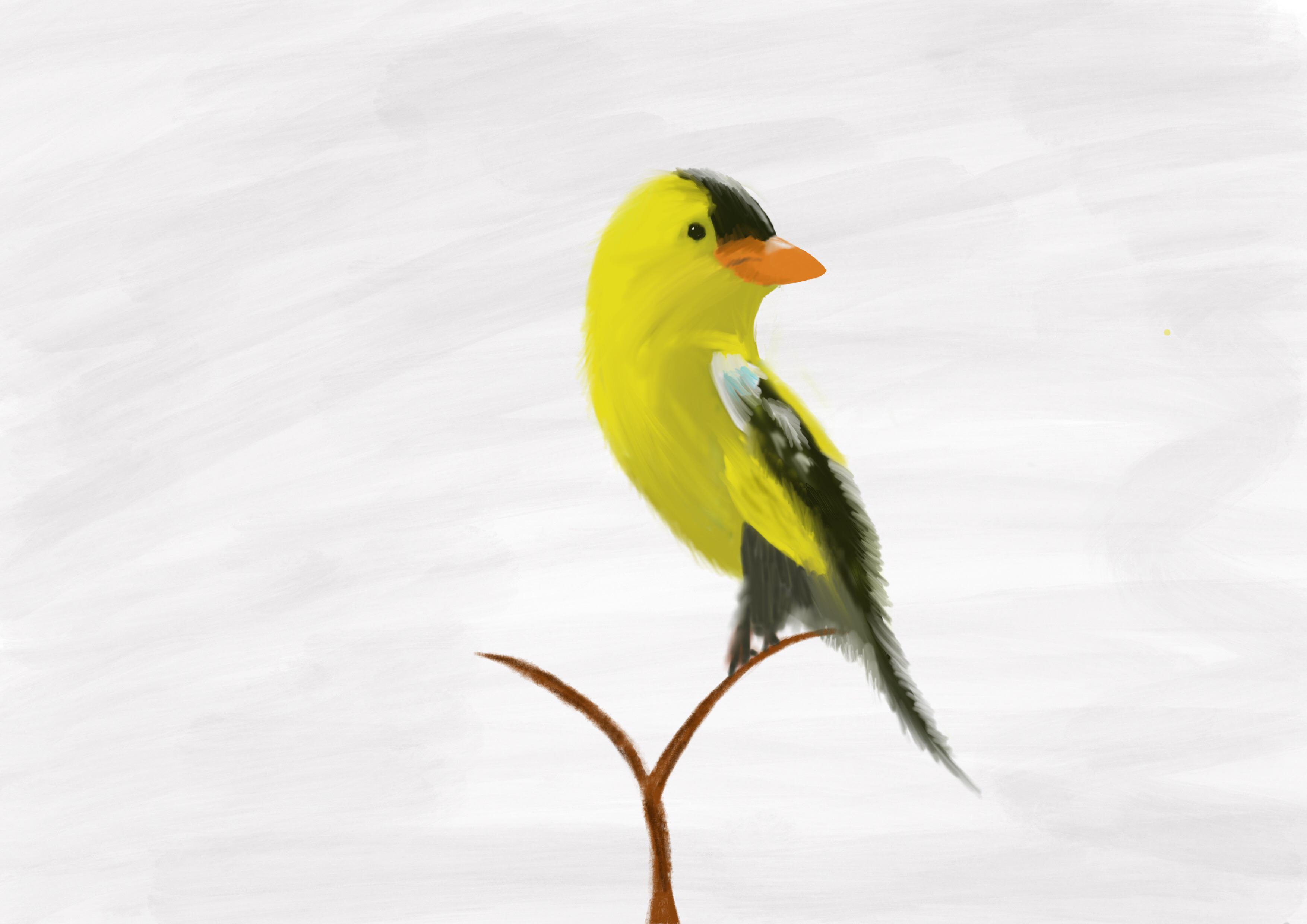 Started learning to draw again | Scrolller