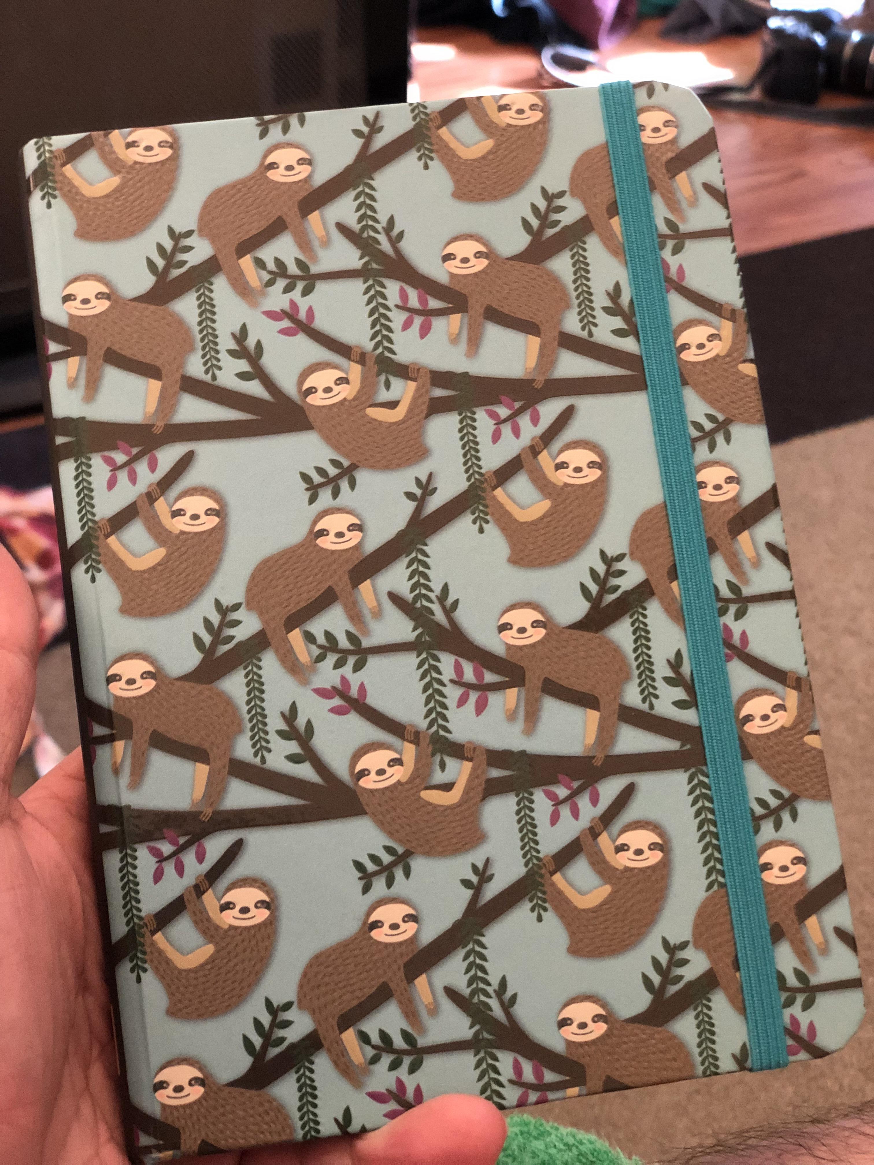 Starting 2019 with Sloths! | Scrolller