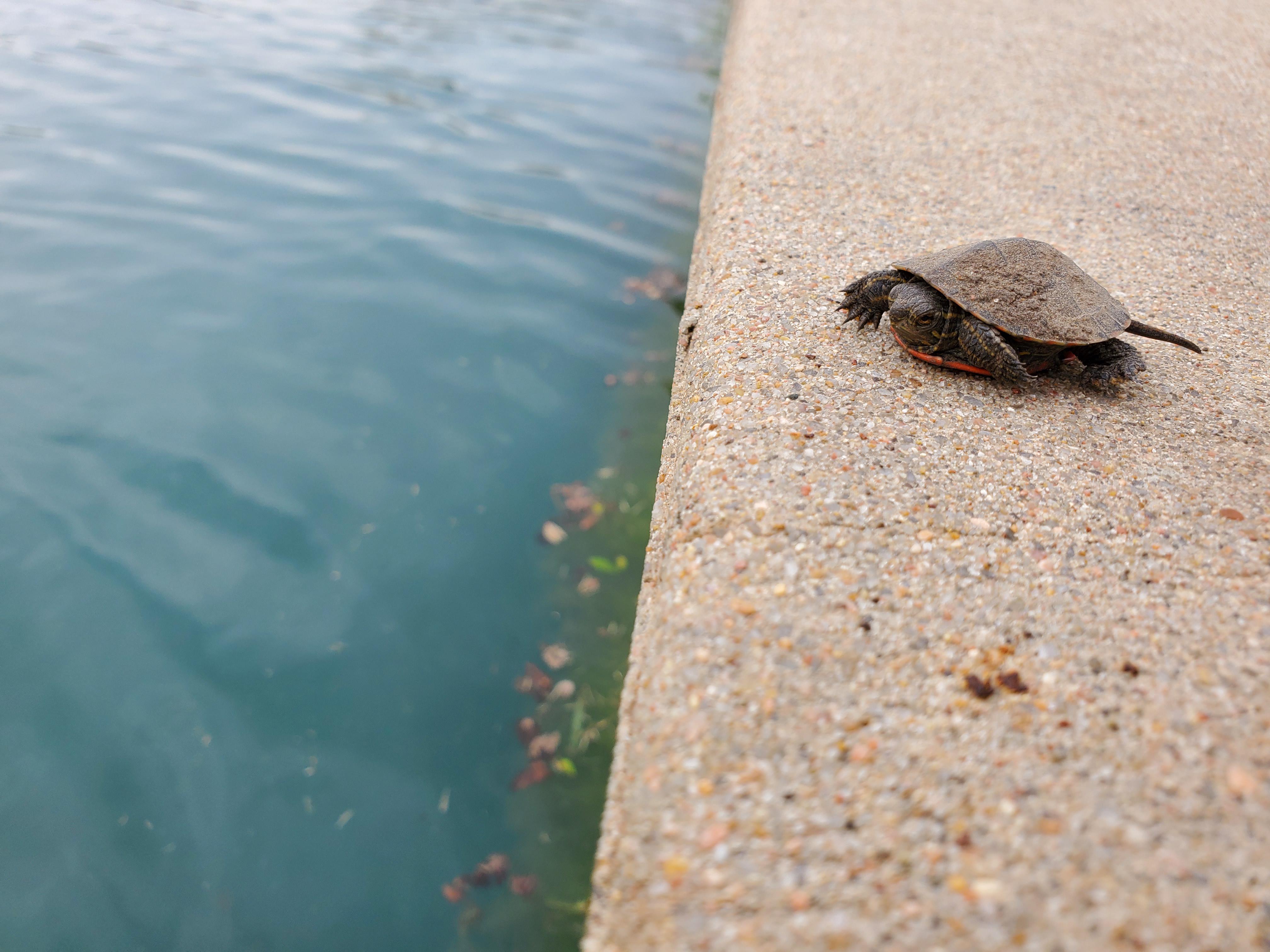 Starting the journey... | Scrolller