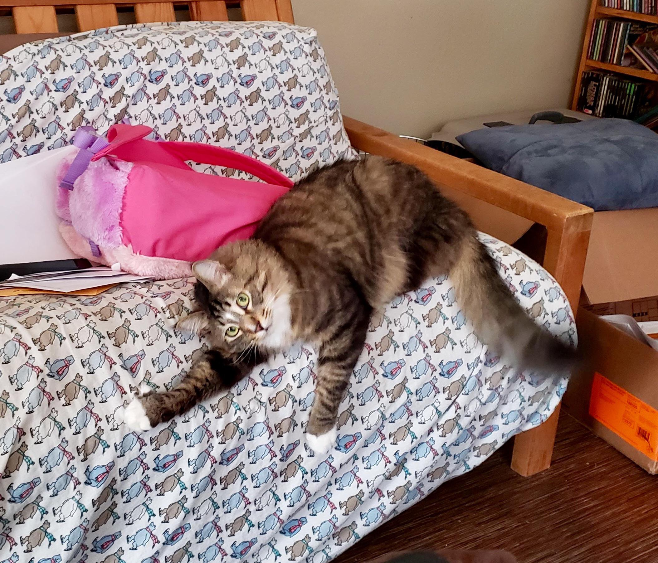 Static cling? | Scrolller