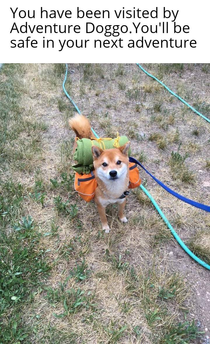 Stay safe! | Scrolller