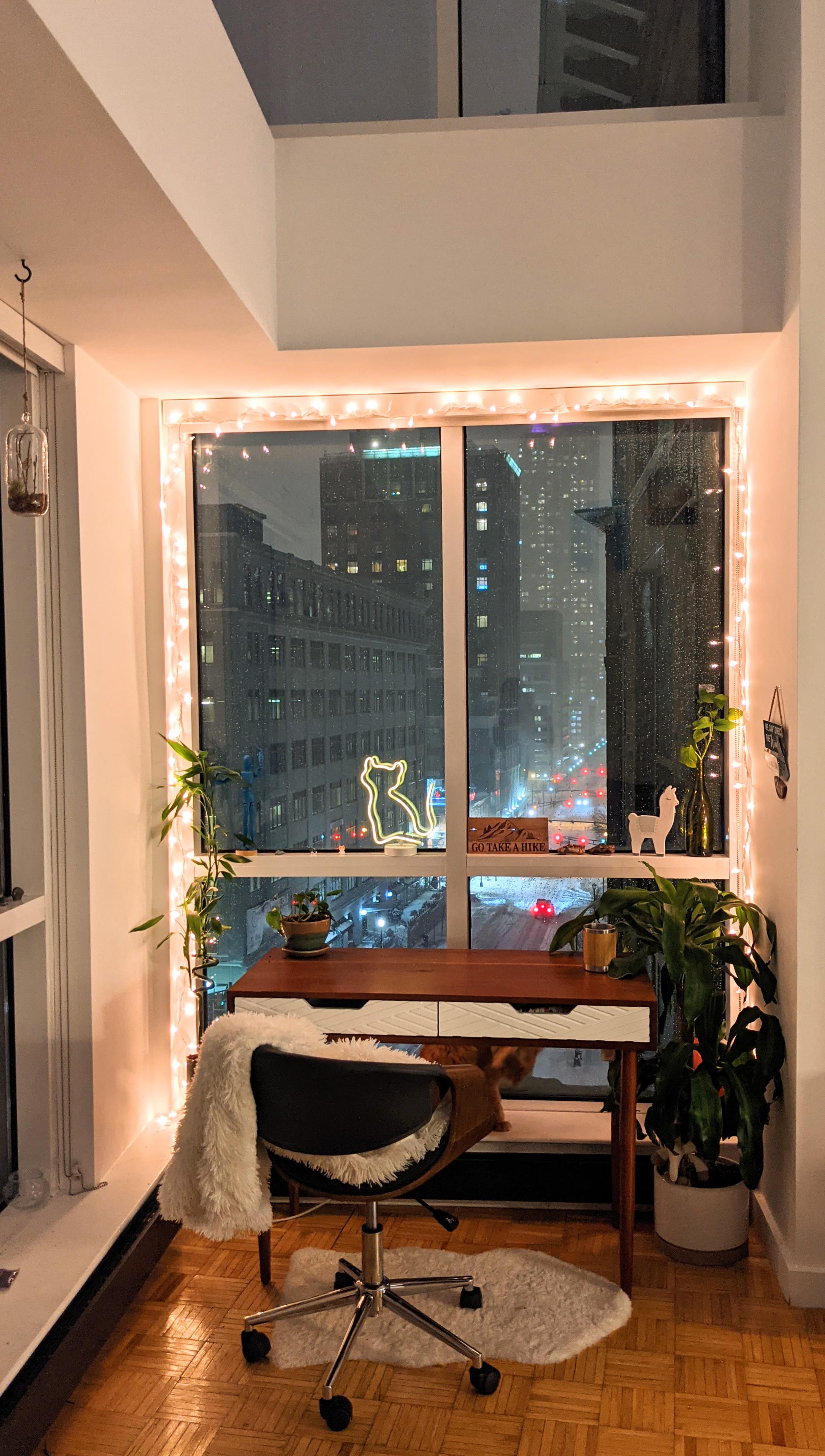 Staying cozy during snow storm | Scrolller