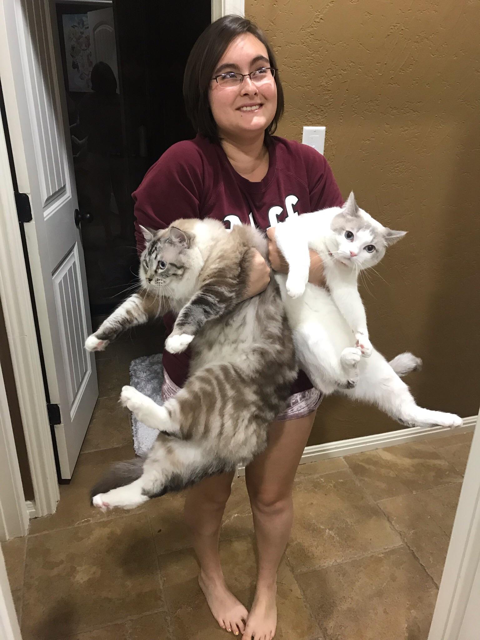 step sister taking two at once | Scrolller