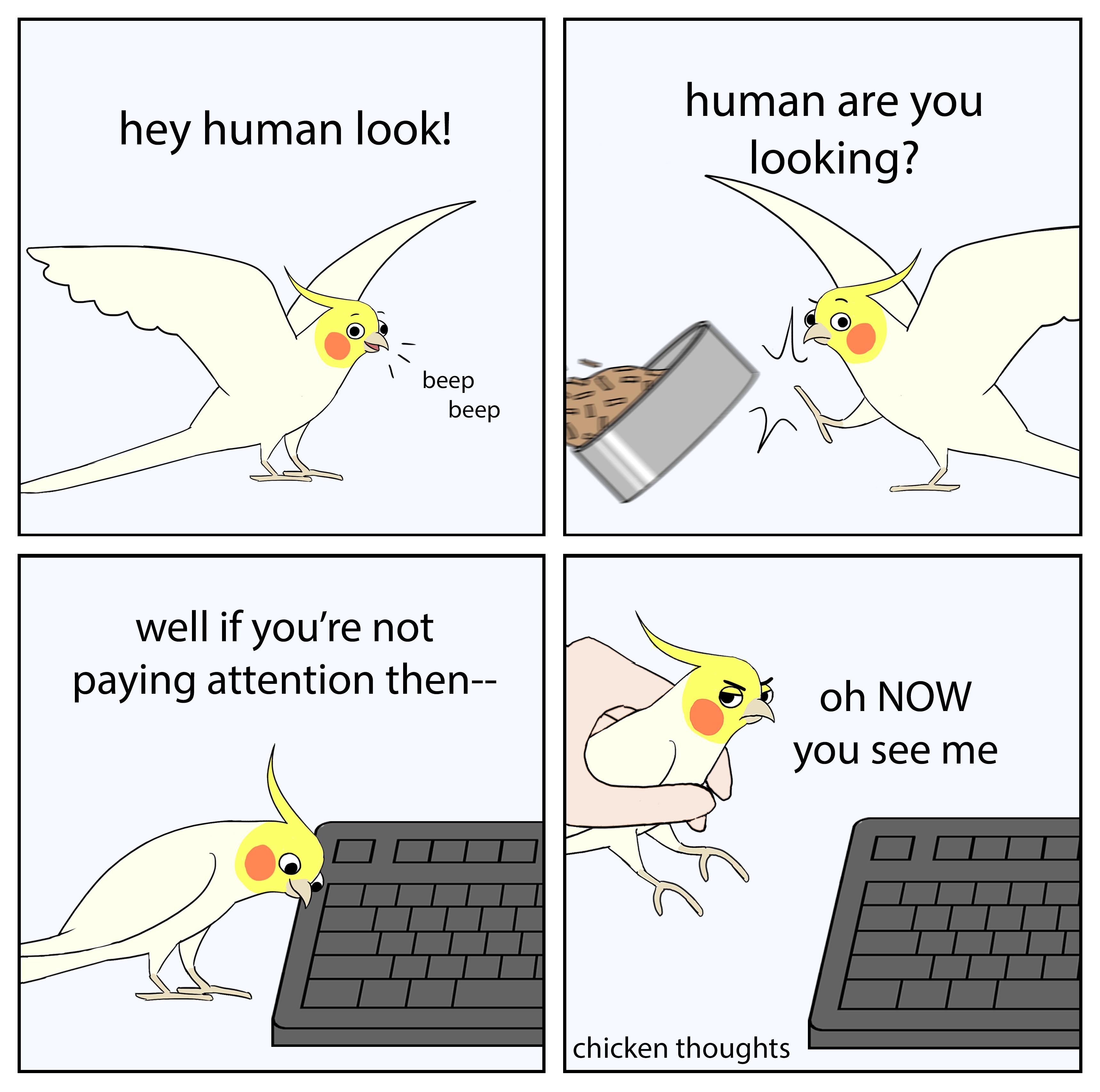 Stoopid hooman | Scrolller