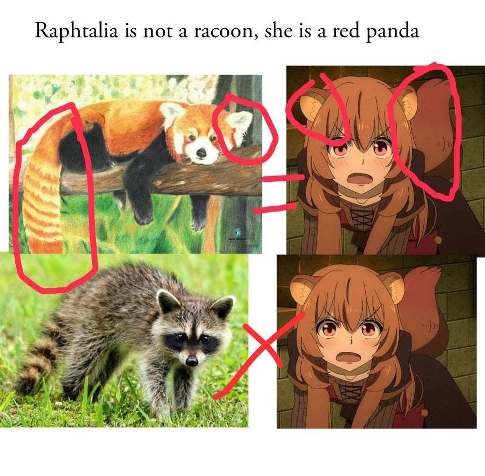 Stop calling her trash panda | Scrolller