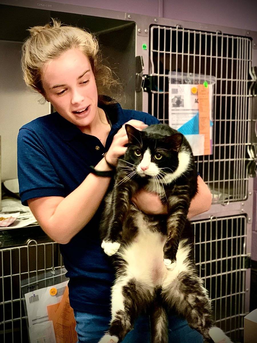 Stroke It, Make It Talk | Scrolller