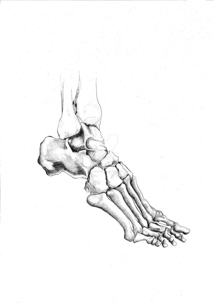 Study of a Skeleton foot (watermark is from my dev) | Scrolller