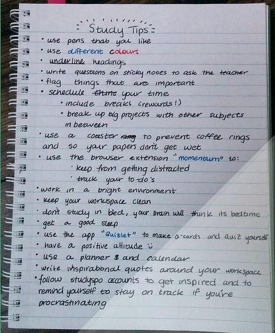 Study Tips | Scrolller