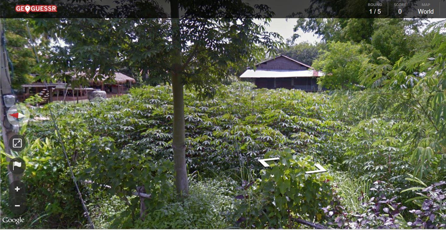 Stumbled across some dodgy looking plants.... | Scrolller