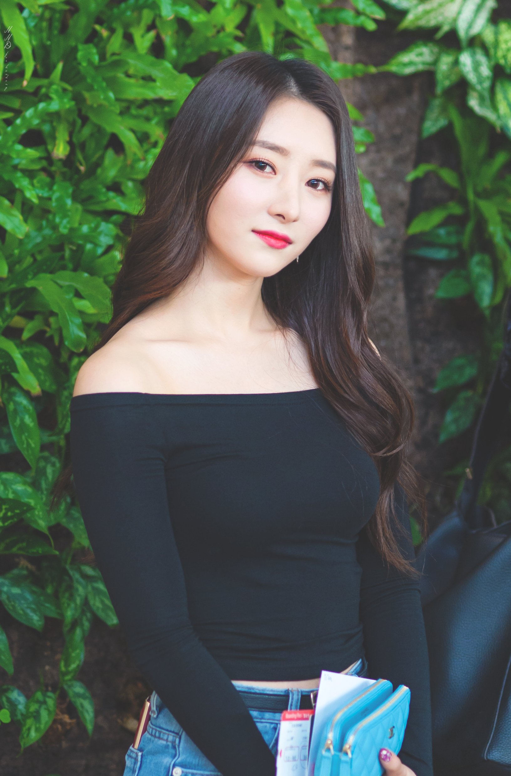 SuA | Scrolller