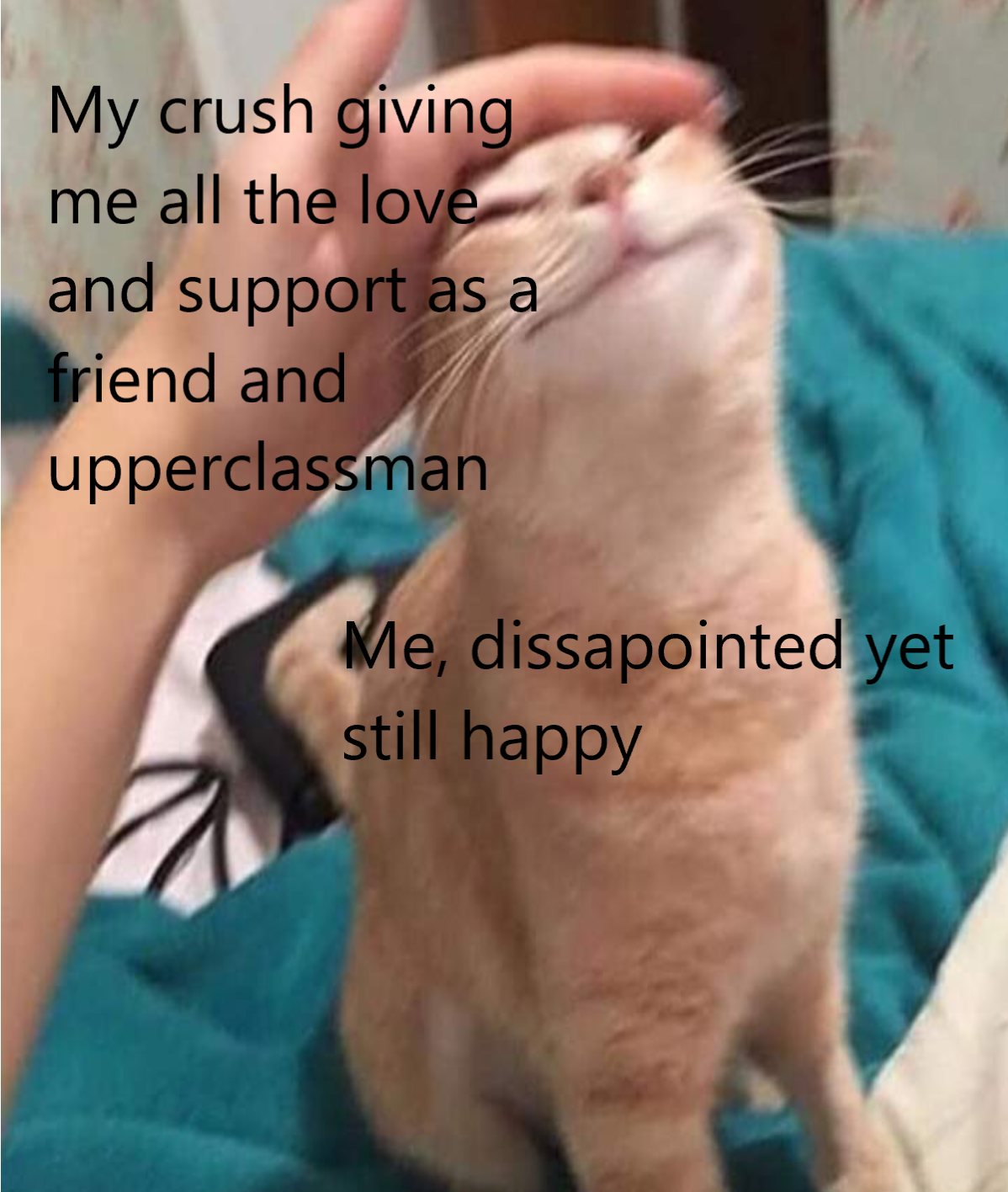 Such a sweet angel, must protect. | Scrolller