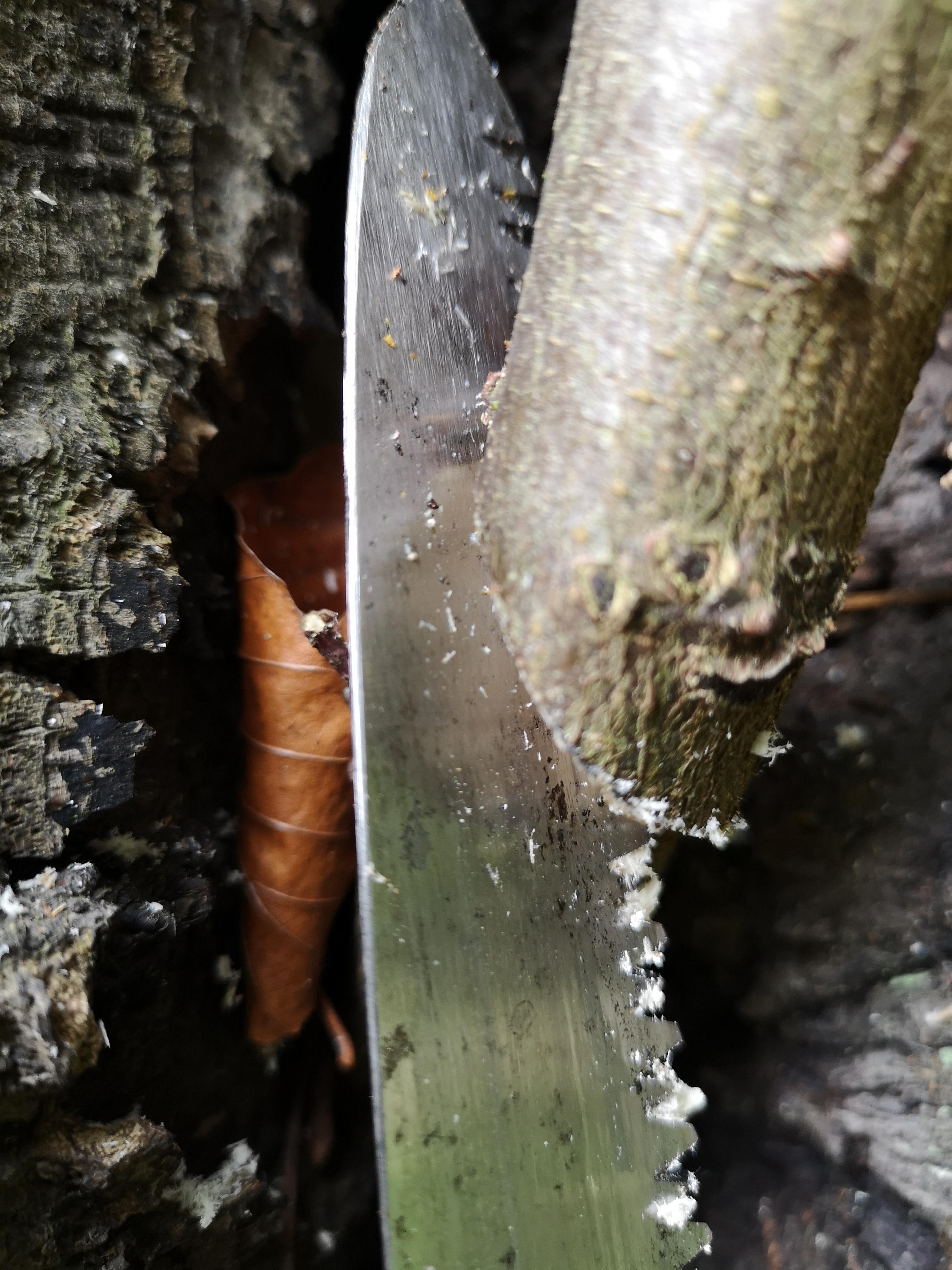 Sucker happy to be removed | Scrolller